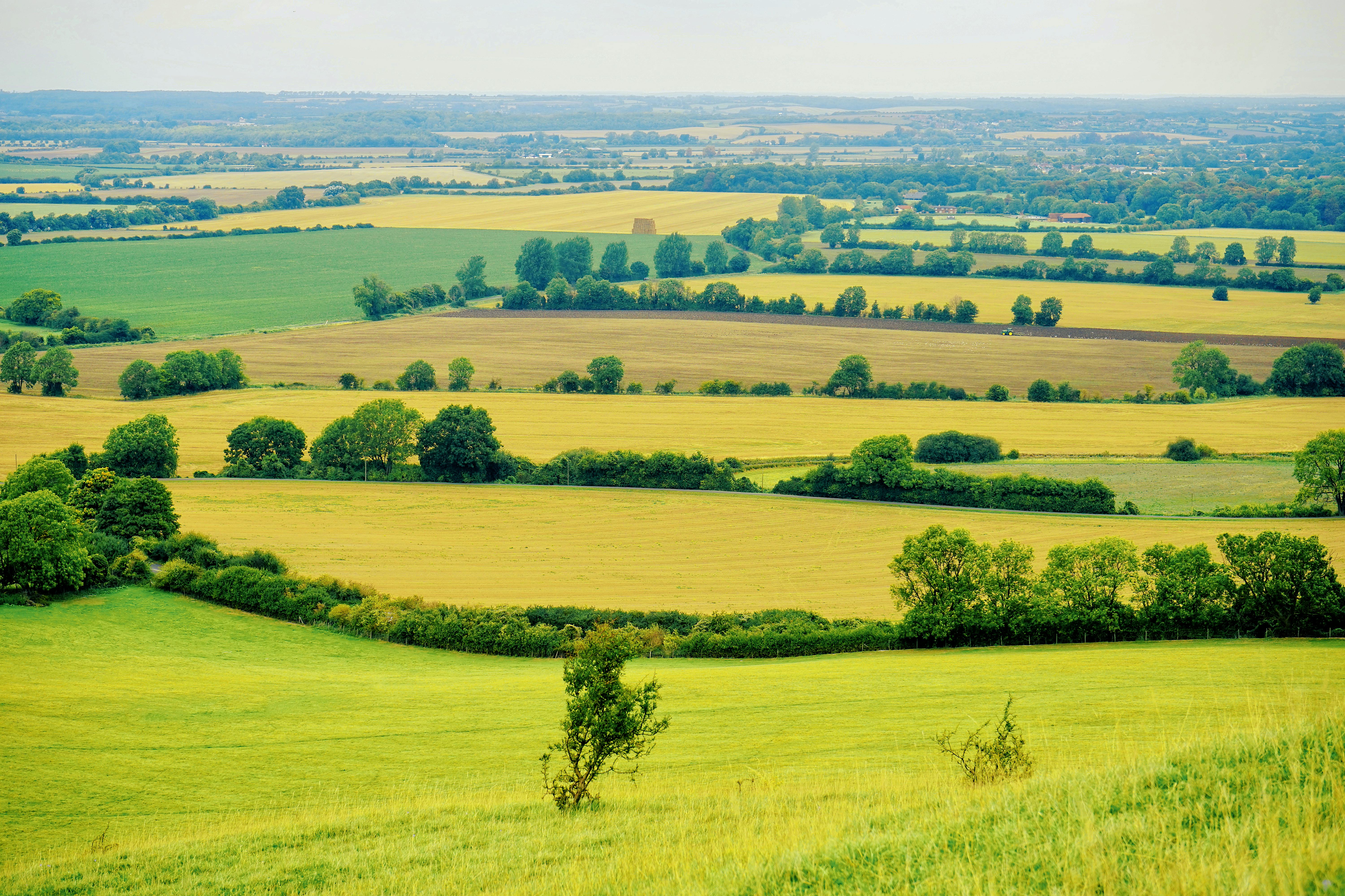 Linmere | Lands Improvement